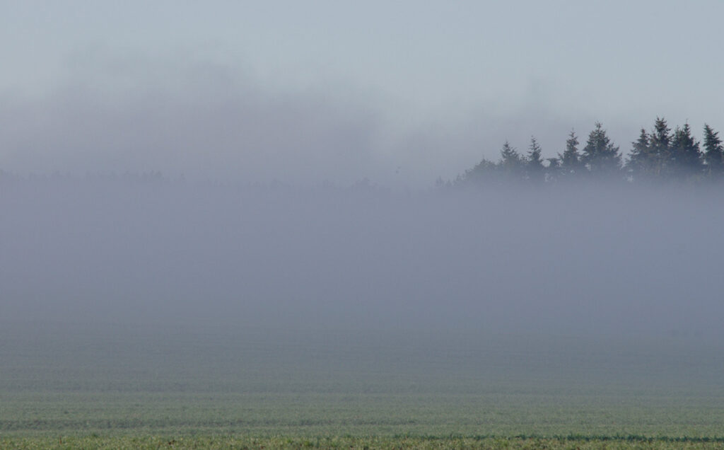 Erklärung des Nebels – Kritische Masse