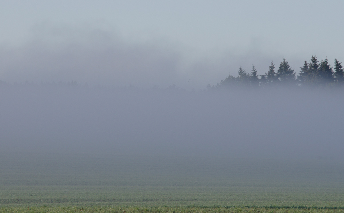 Erklärung des Nebels – Kritische Masse
